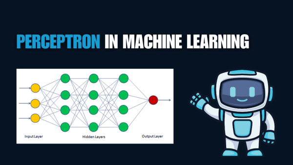 Perceptron in Machine Learning - Raisalon